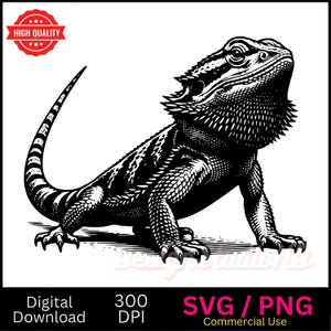 Bearded Dragon Design | SVG PNG | Vector Graphic Cut File Laser Clip ...