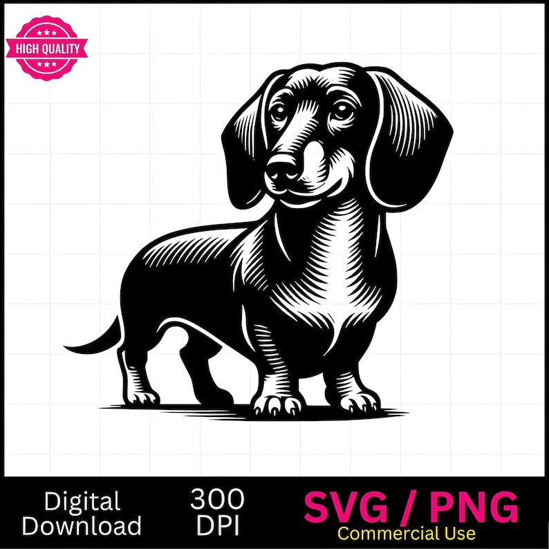 Dachshund Dog SVG PNG, Dog Svg, Weiner Dog Svg, SVG Files for Cricut ...