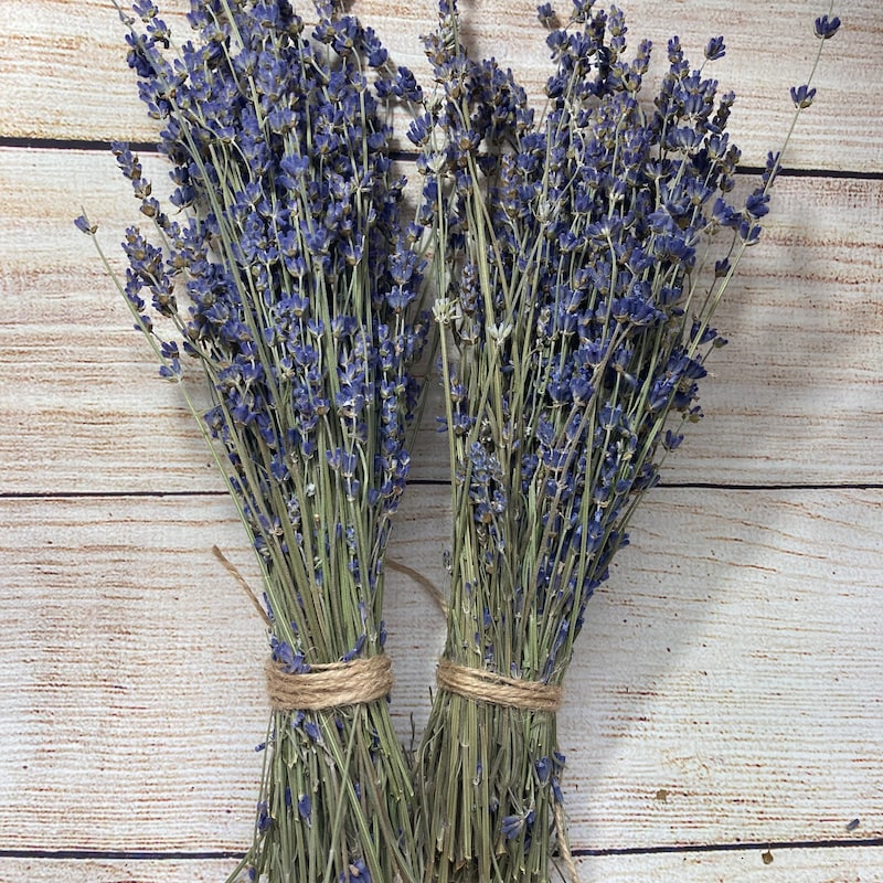 Lavender Bunch - Etsy