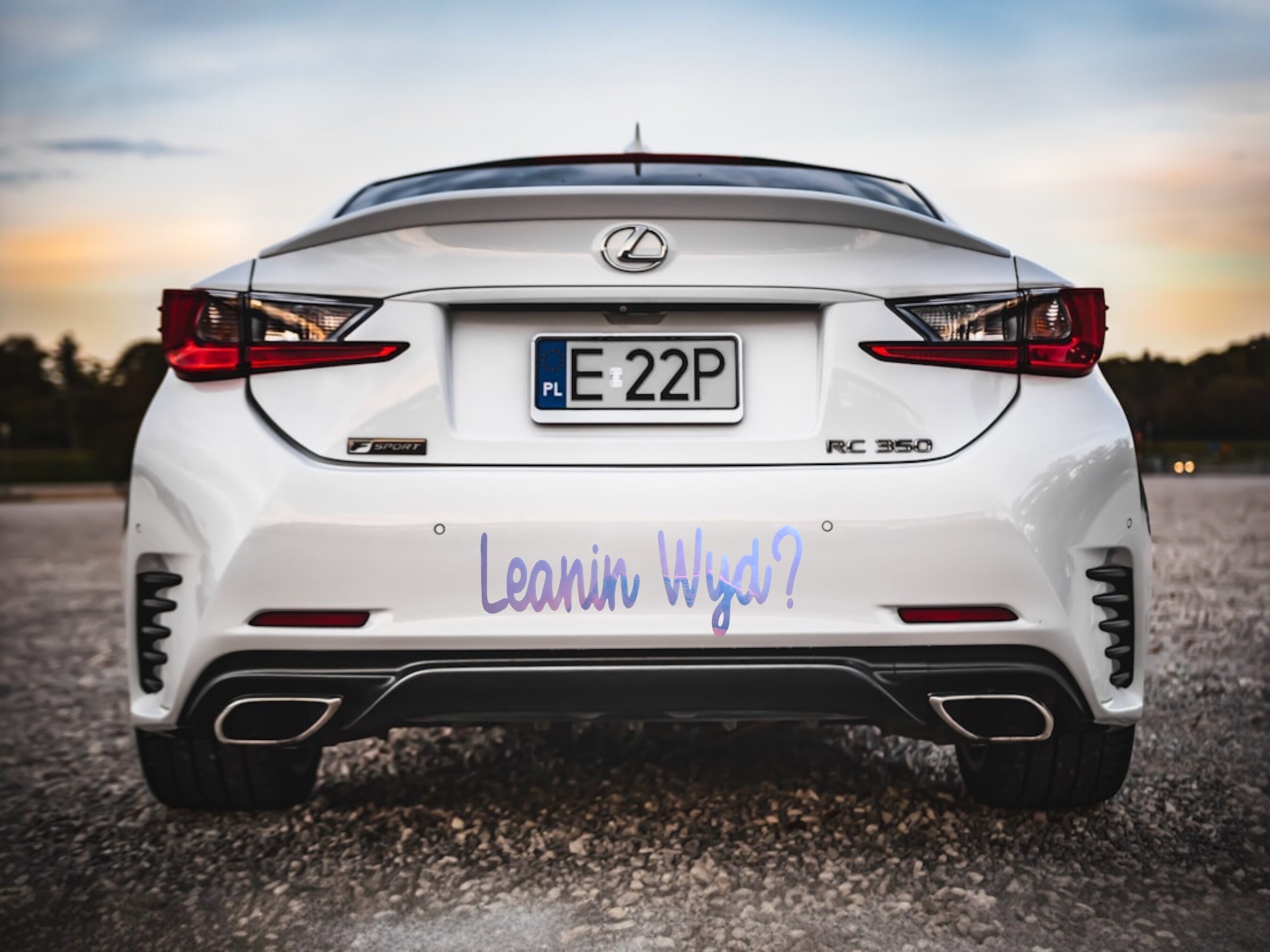 Leanin Wyd? Truck/car Vinyl Decal | Car Accessories, Custom Sizes ...