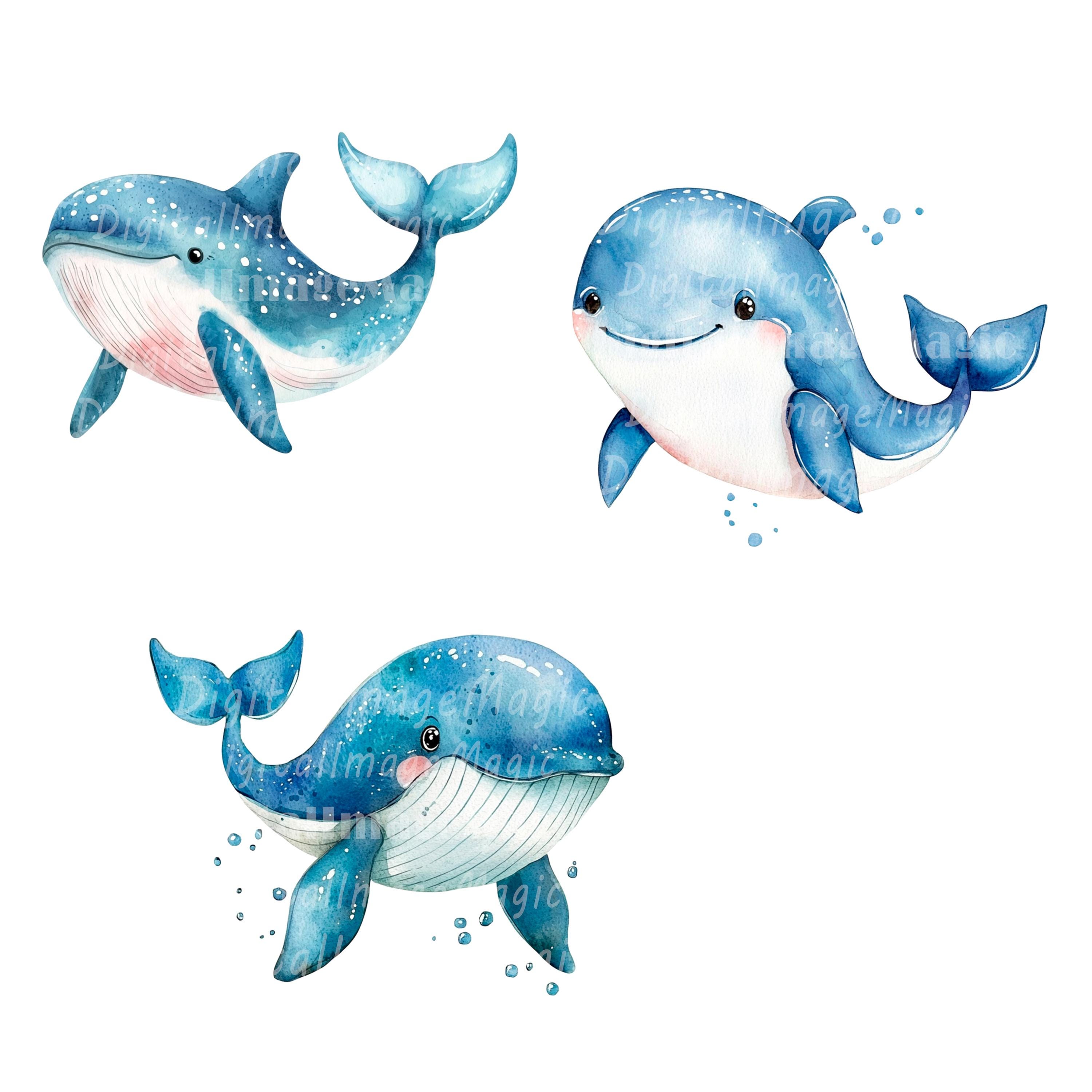 24 Cartoon Wal Clipart, Wal Illustration, druckbare Aquarell Clipart ...