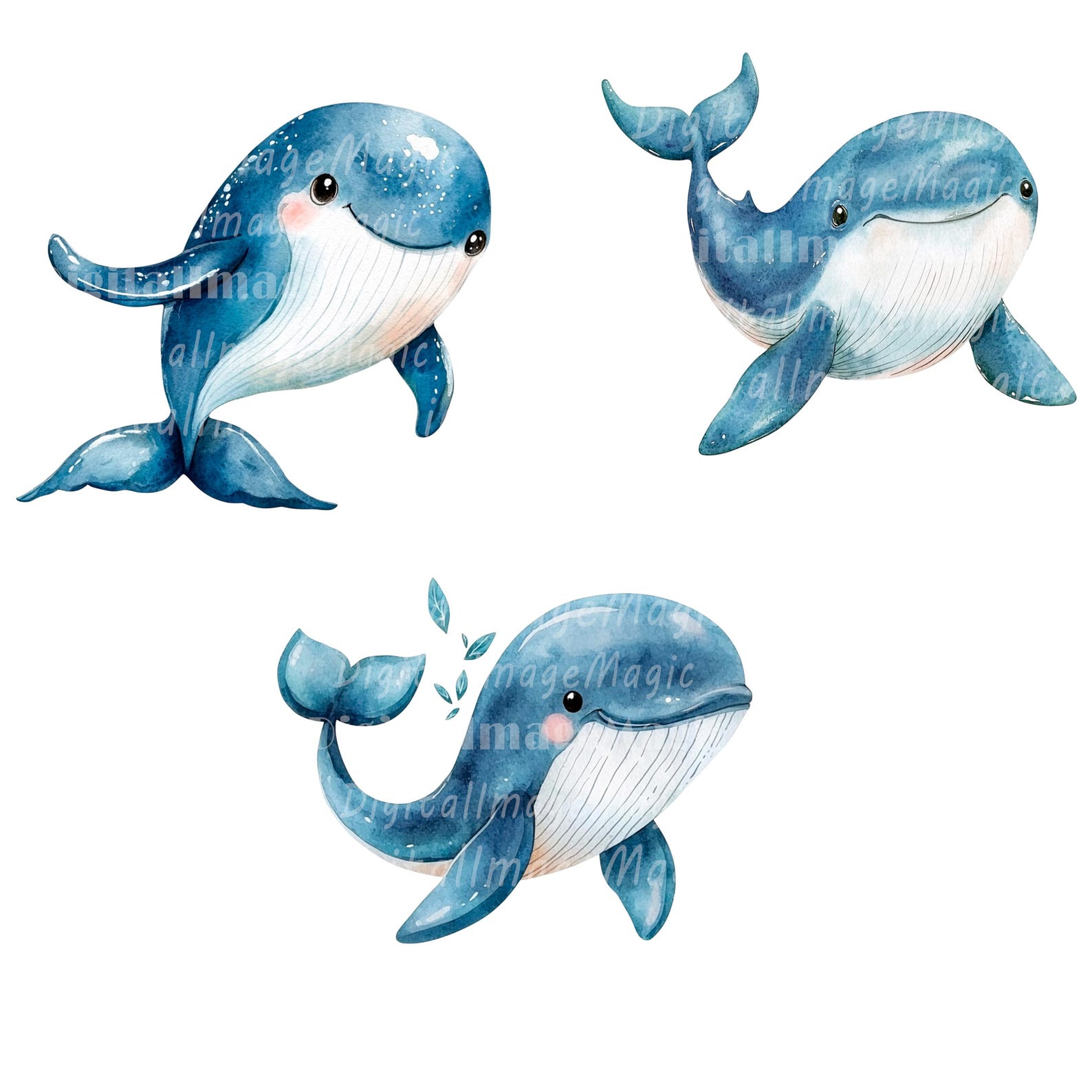 24 Cartoon Wal Clipart, Wal Illustration, druckbare Aquarell Clipart ...