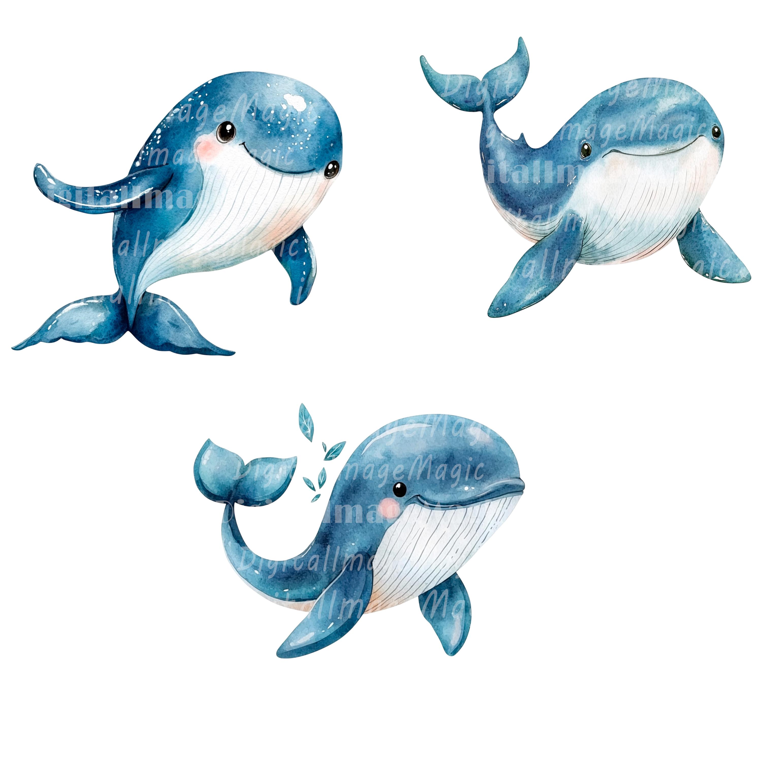 24 Cartoon Wal Clipart, Wal Illustration, druckbare Aquarell Clipart ...