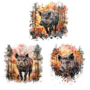 19 Wild Boar in Sunset Clipart, Printable Watercolor Clipart, High ...
