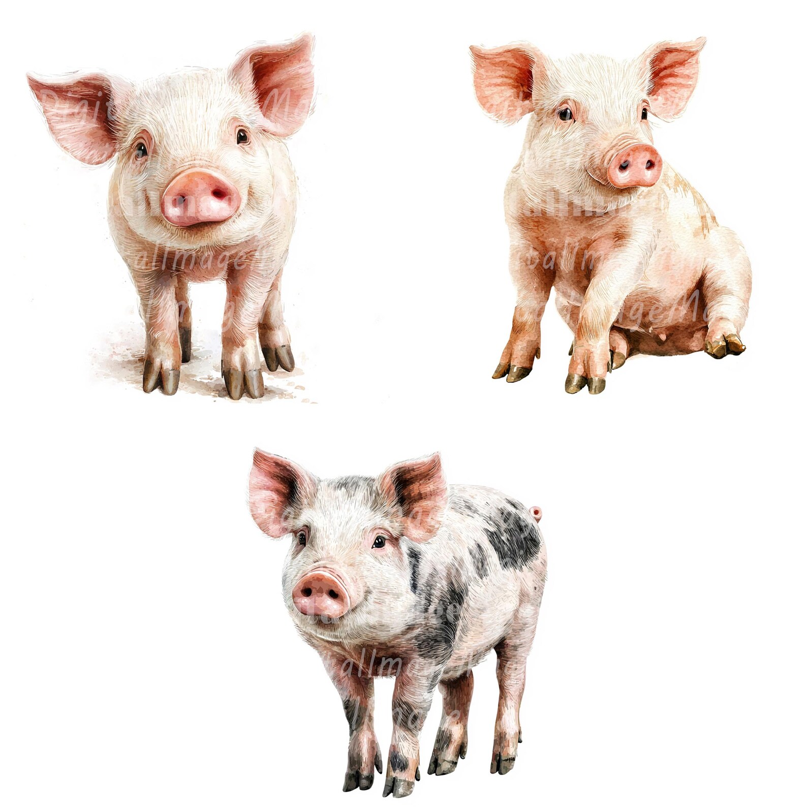 24 Farmyard Pig Clipart, Printable Watercolor Clipart, High Quality ...