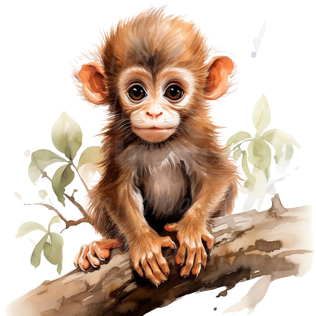 18 Monkey Baby Clipart, Monkey for Nursery, Printable Watercolor ...