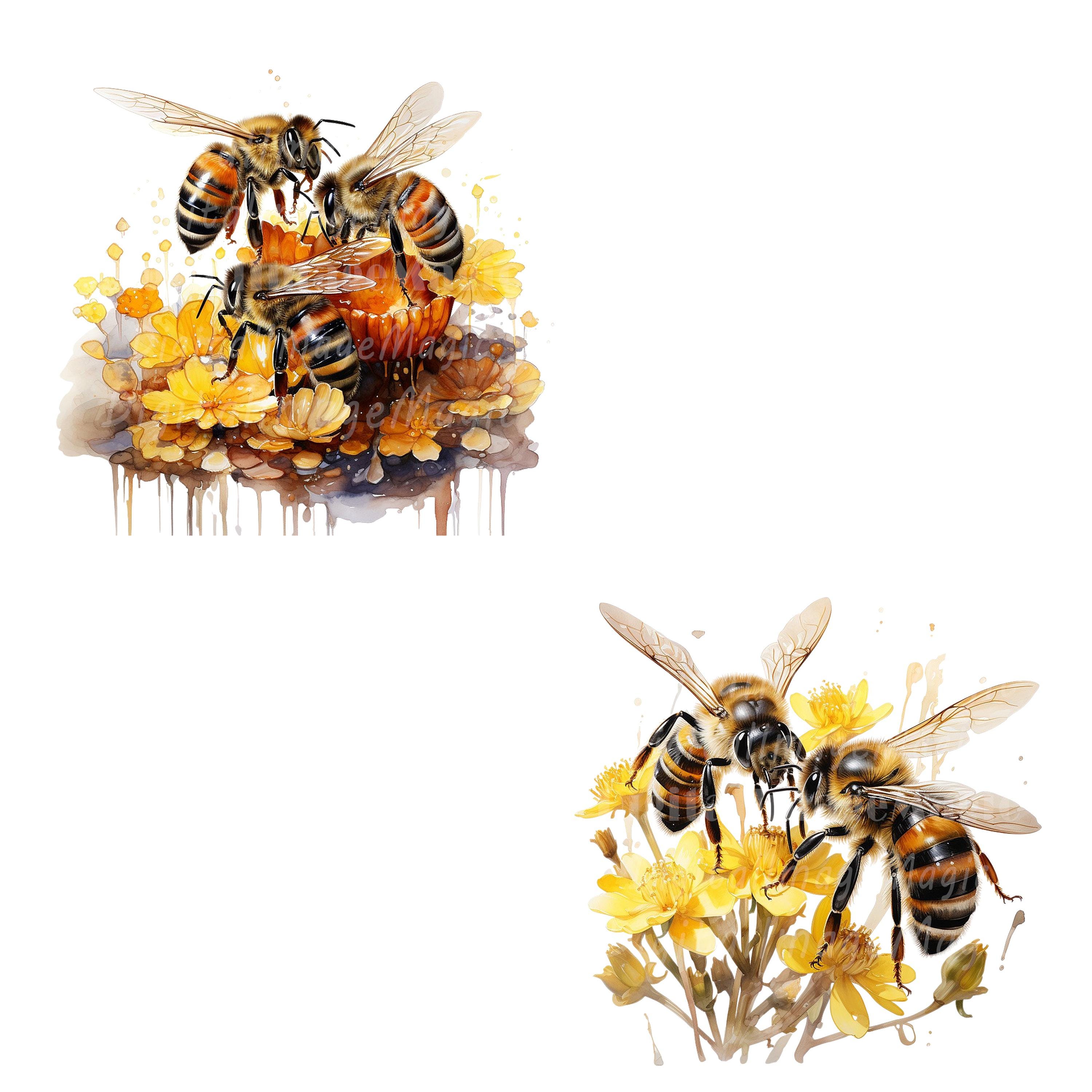 20 Bees Clipart, Honey Clipart, Beehive, Printable Watercolor Clipart ...