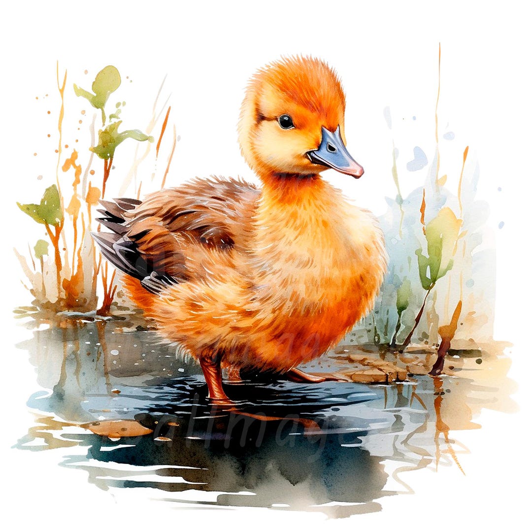 19 Duckling Clipart, Duck Duckling, Printable Watercolor Clipart, 19 ...