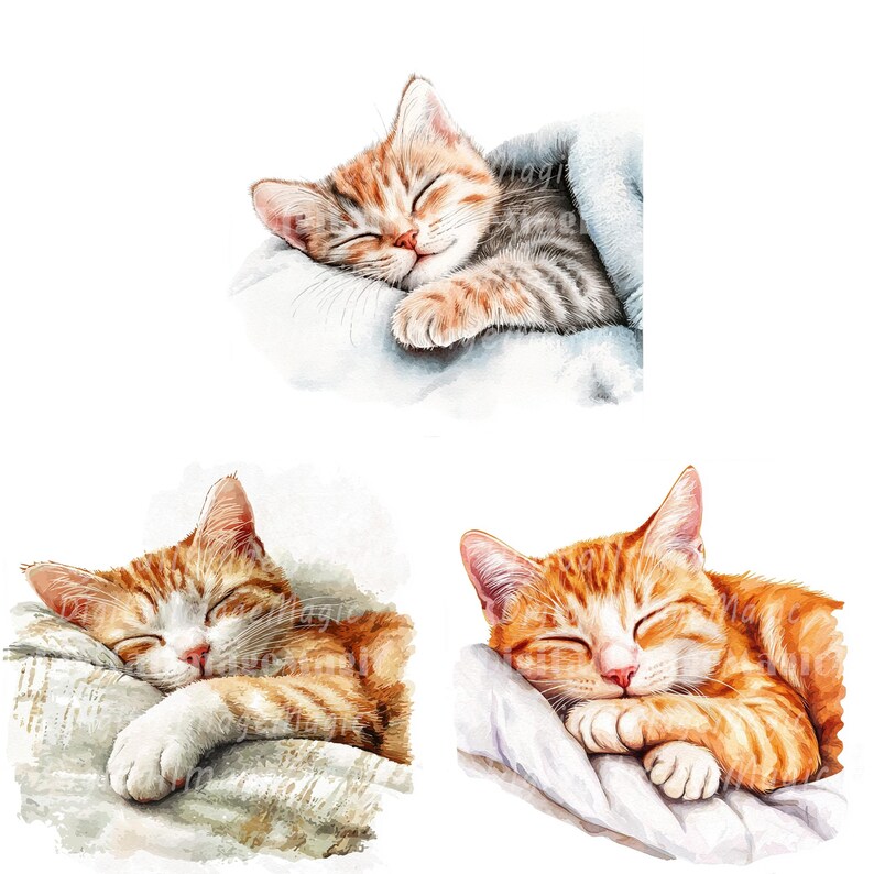 24 Sleeping Cat Clipart, Cozy Cat Clipart, Printable Watercolor Clipart ...