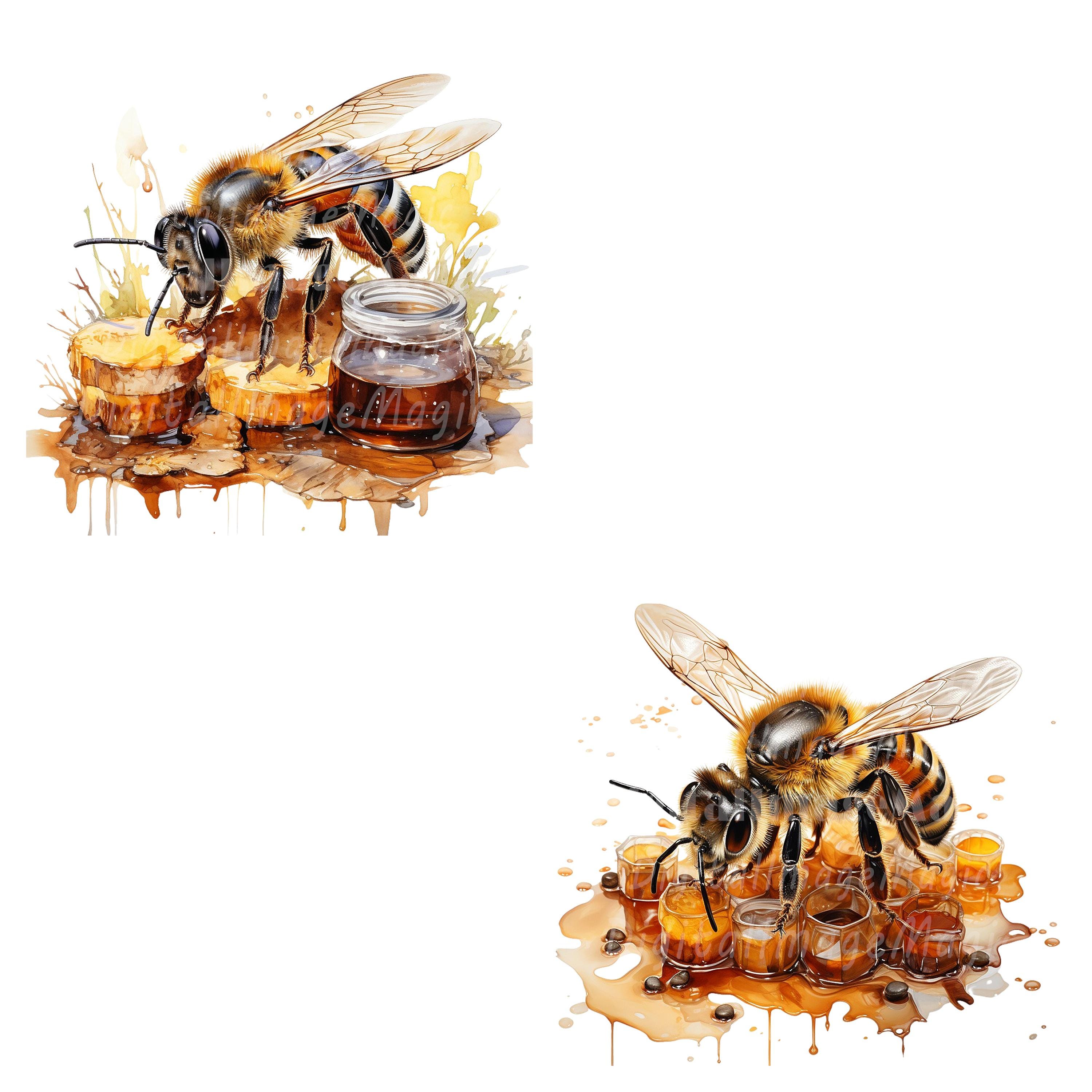 20 Bees Clipart, Honey Clipart, Beehive, Printable Watercolor Clipart ...