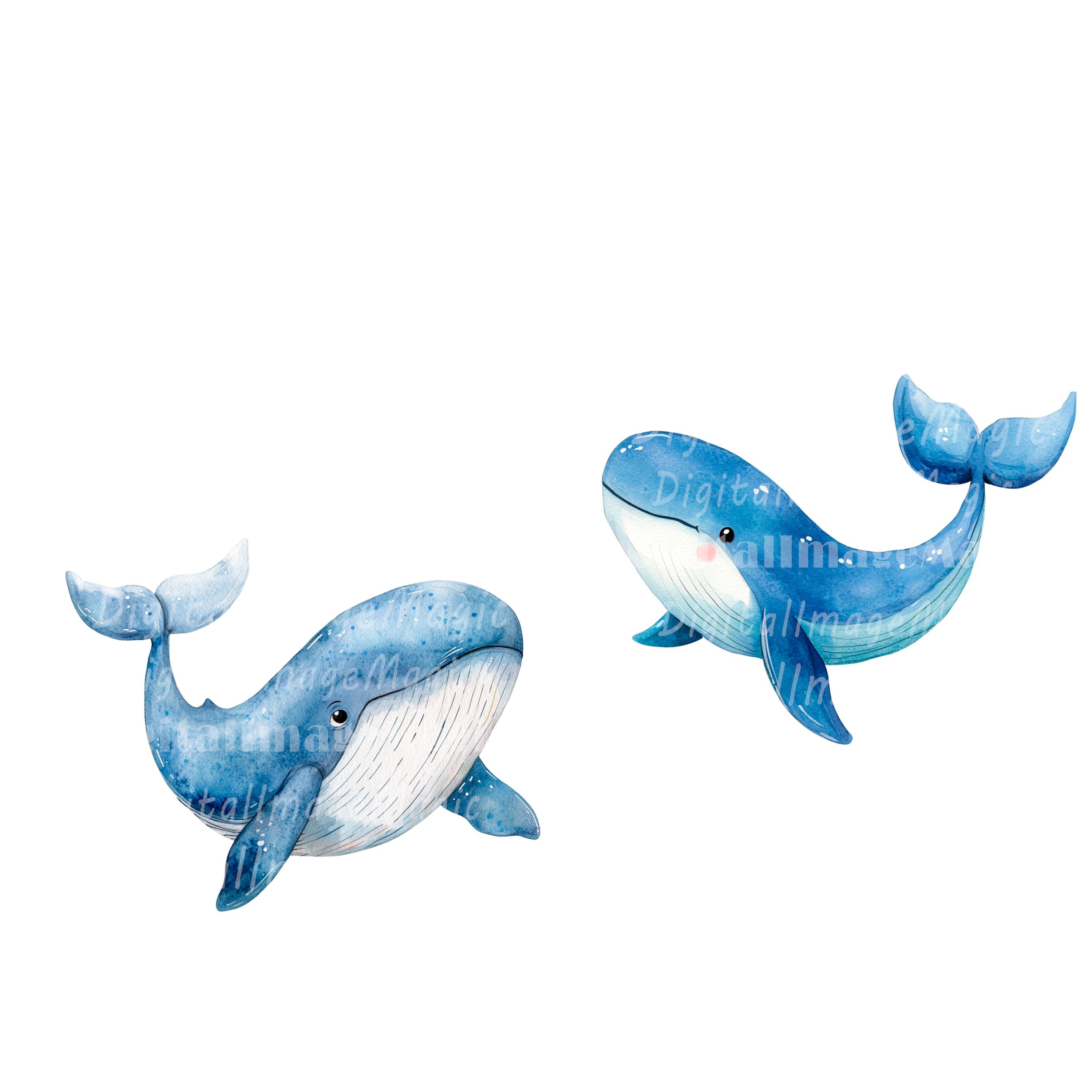 24 Cartoon Wal Clipart, Wal Illustration, druckbare Aquarell Clipart ...