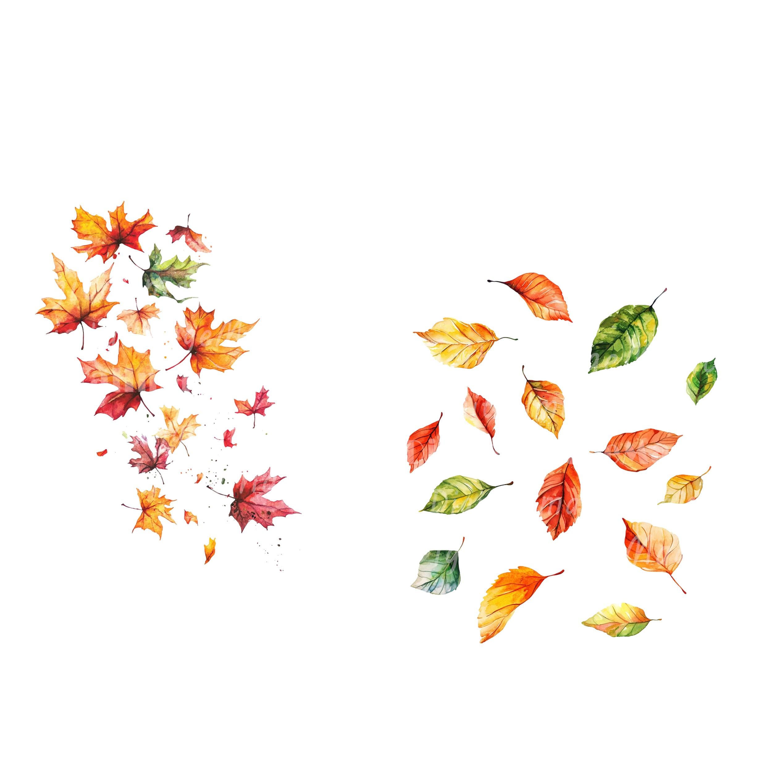 23 Falling Autumn Leaves Clipart, Fall Leaves, Printable Watercolor ...