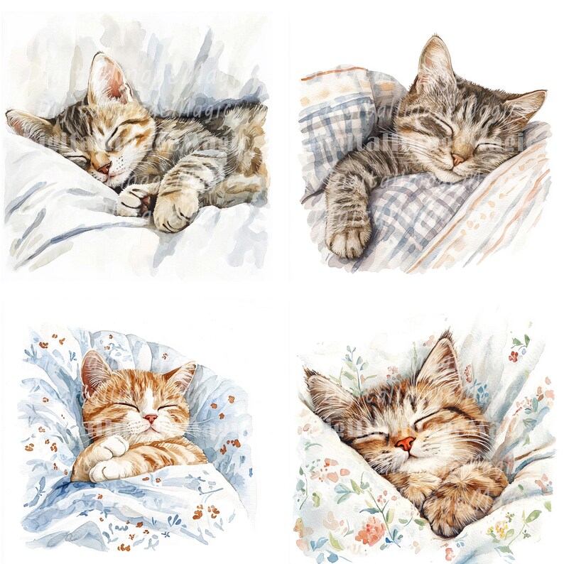 24 Sleeping Cat Clipart, Cozy Cat Clipart, Printable Watercolor Clipart ...