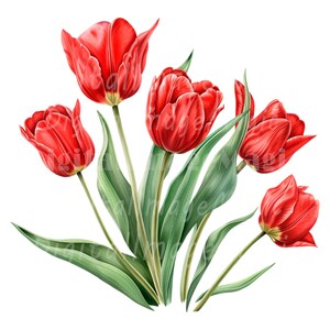 18 Spring Flowers Clipart, Tulips Clipart, Printable Watercolor Clipart ...