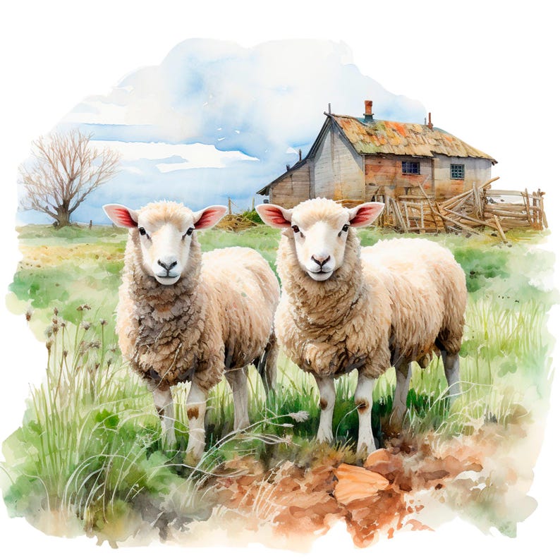 20 Sheep Farm Clipart, Farm Clipart, Printable Watercolor Clipart, High ...