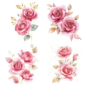 16 Pink Gold Rose Clipart, Pink Rose Stem, Printable Watercolor Clipart ...