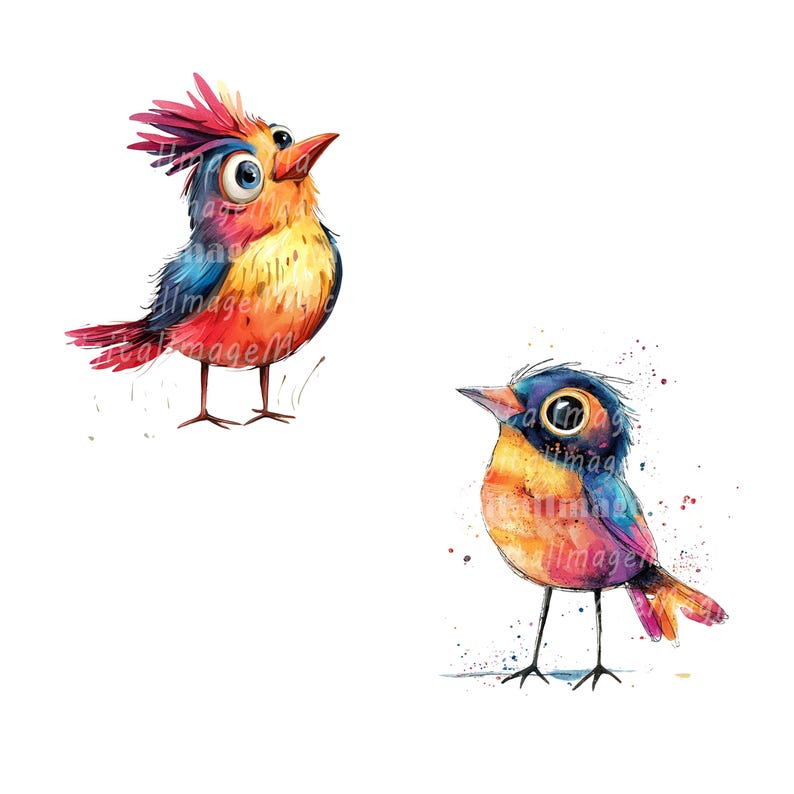 24 Whimsical Watercolor Birds Clipart: Funny PNG Images (digital ...
