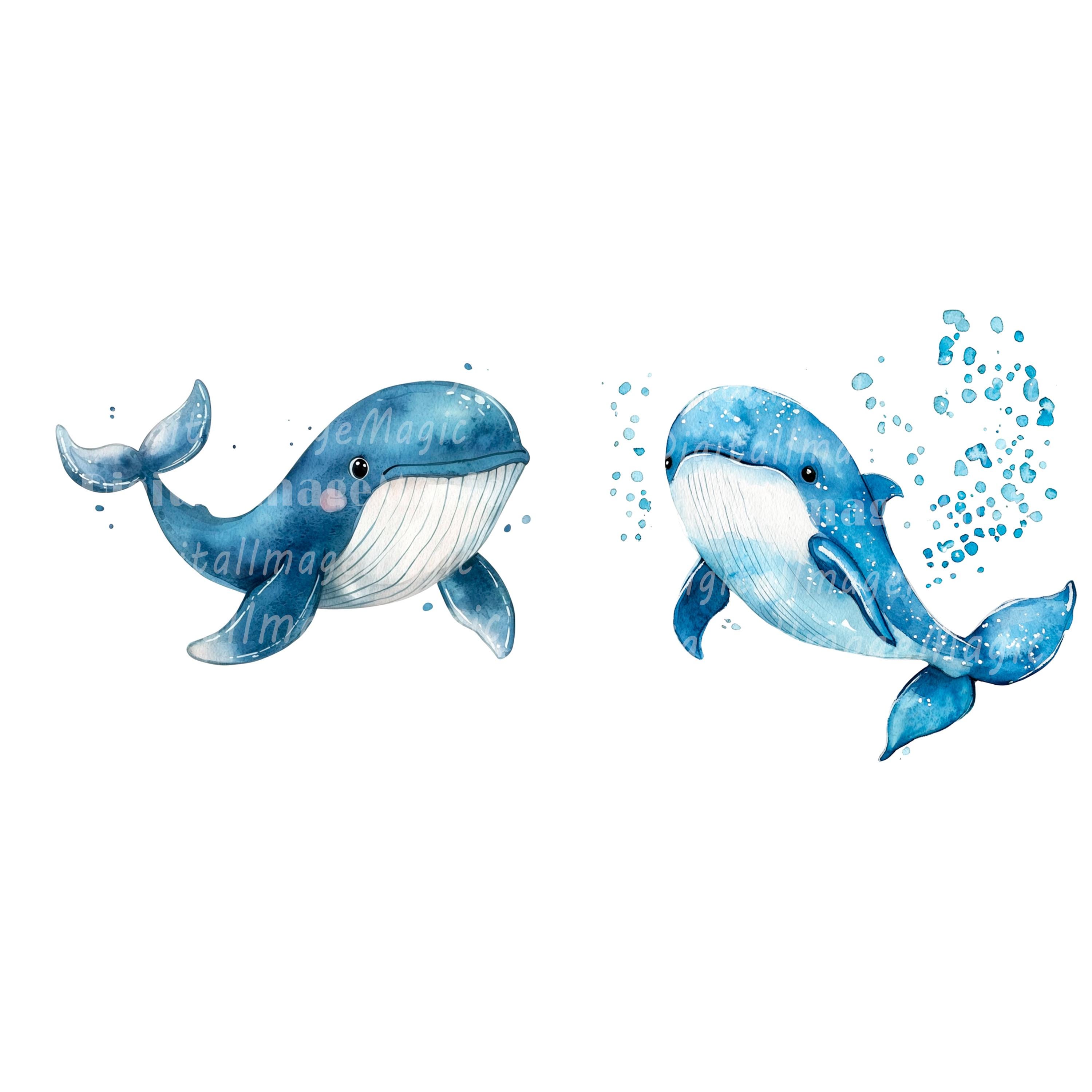 24 Cartoon Wal Clipart, Wal Illustration, druckbare Aquarell Clipart ...