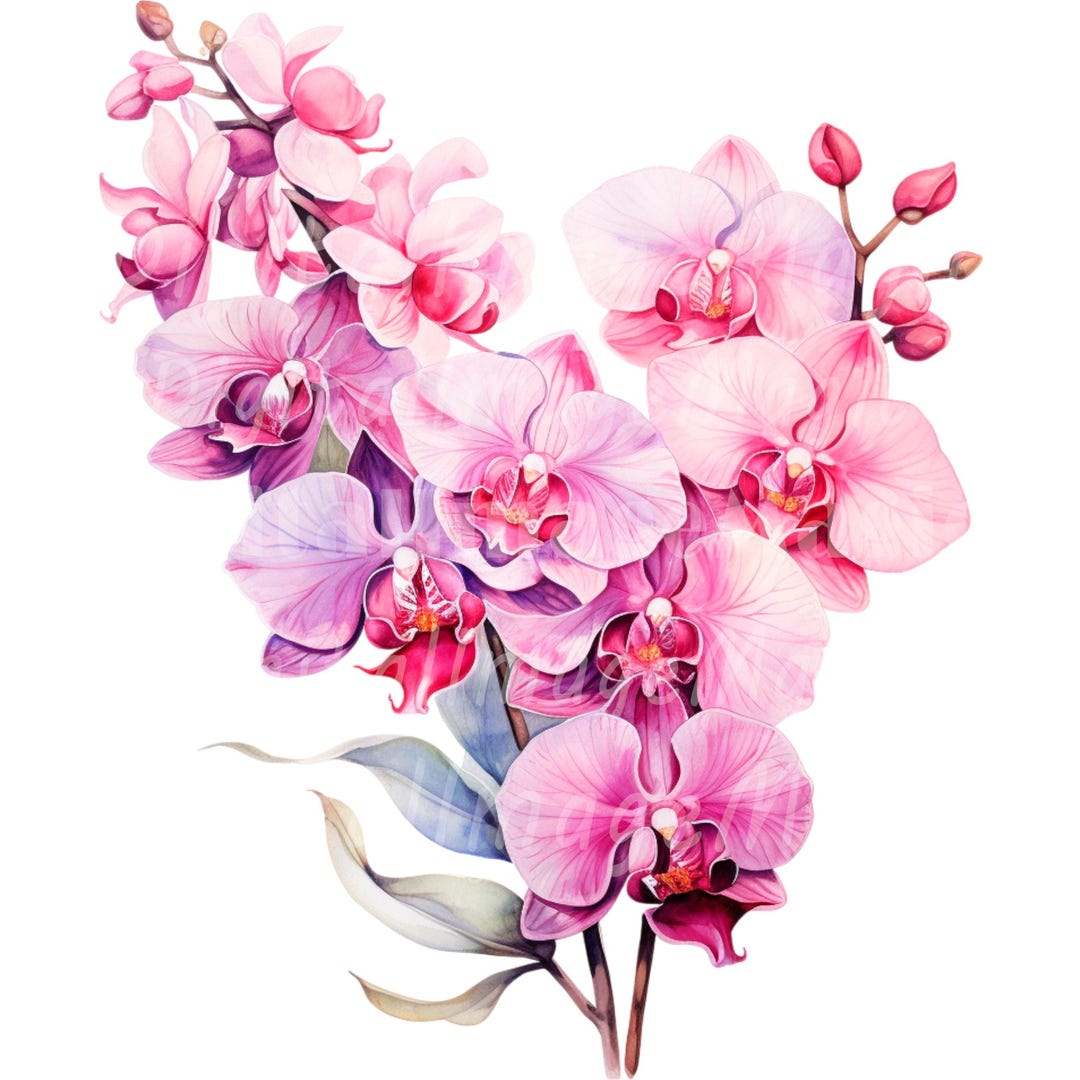 18 Orchid Clipart, Watercolor Orchids Wall Art, Printable Watercolor ...