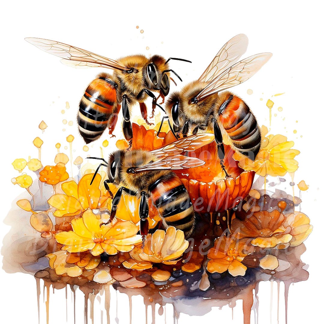 20 Bees Clipart, Honey Clipart, Beehive, Printable Watercolor Clipart ...