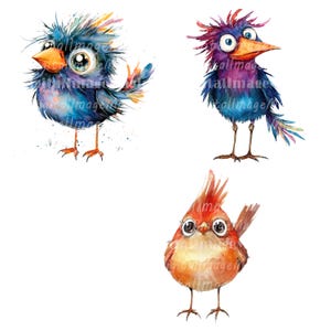 24 Whimsical Watercolor Birds Clipart: Funny PNG Images (digital ...