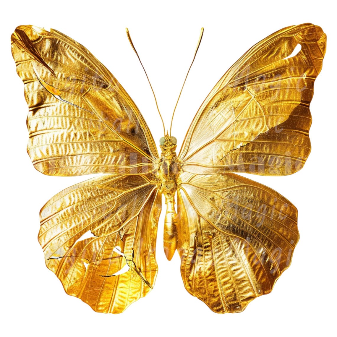 16 Gold Butterfly Clipart, Wall Print, Printable Watercolor Clipart ...