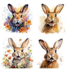 18 Surprised Hare Clipart, Amazed Rabbit, Printable Watercolor Clipart ...