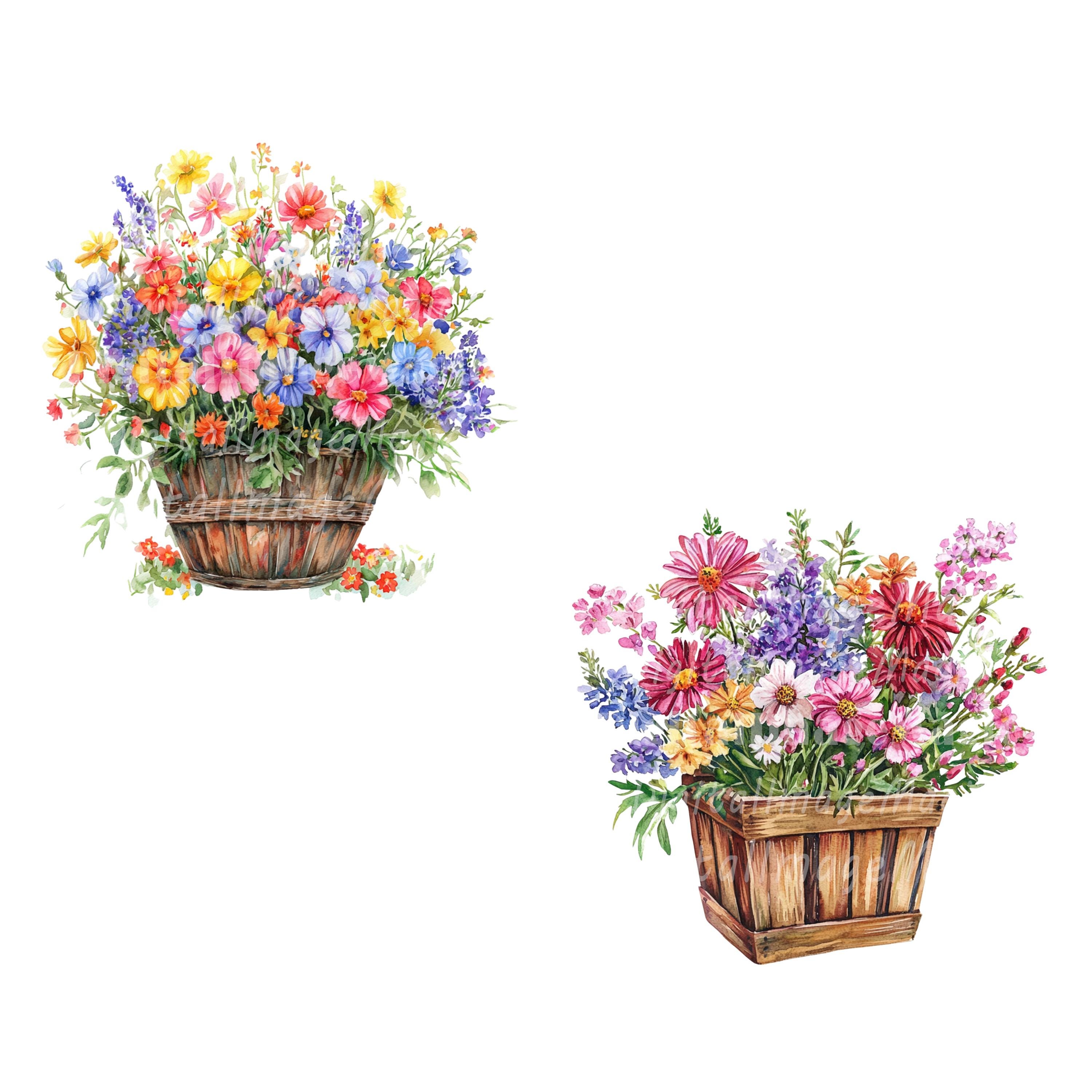 24 Summer Flowers Clipart, Flowers Clipart, Printable Watercolor ...