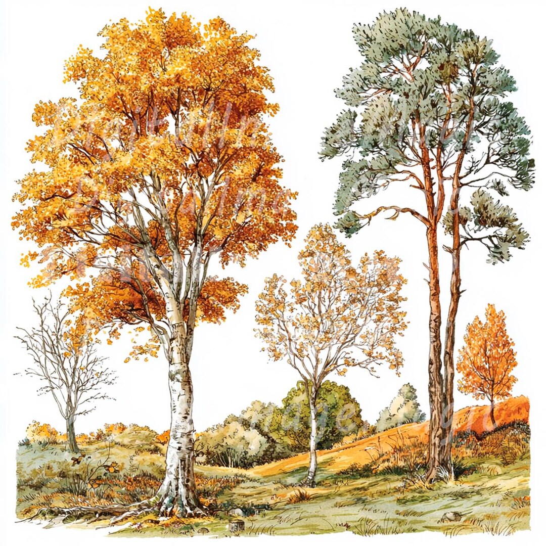 Autumn Trees Clipart, Printable Watercolor Clipart, 24 High Quality ...