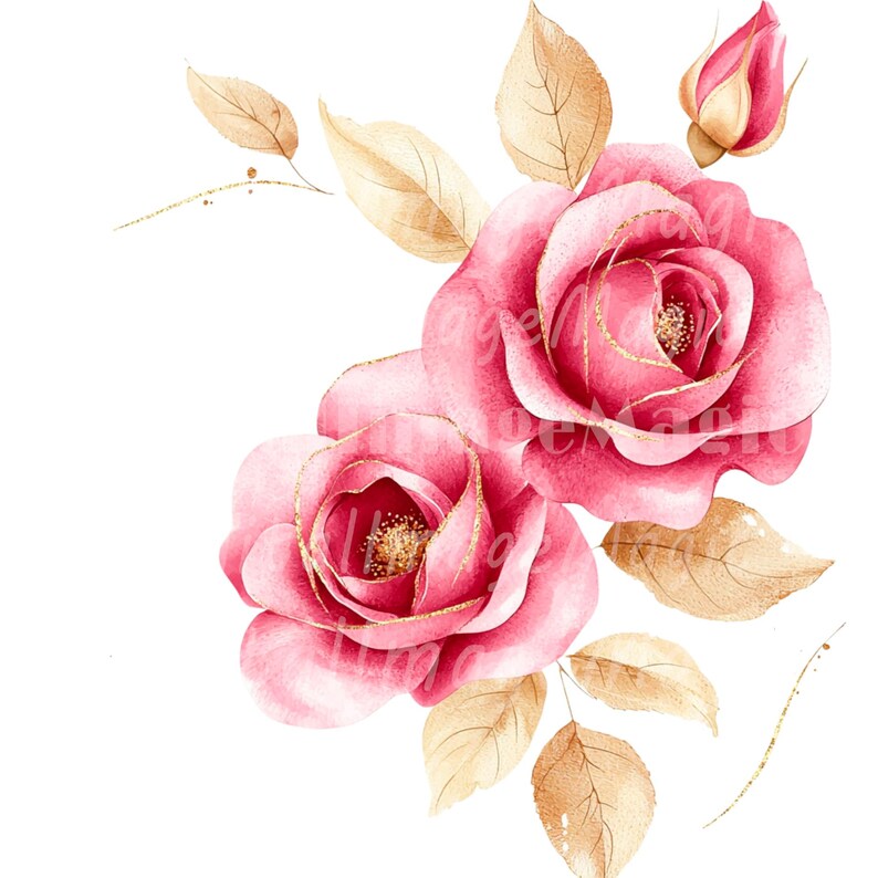 16 Pink Gold Rose Clipart, Pink Rose Stem, Printable Watercolor Clipart ...