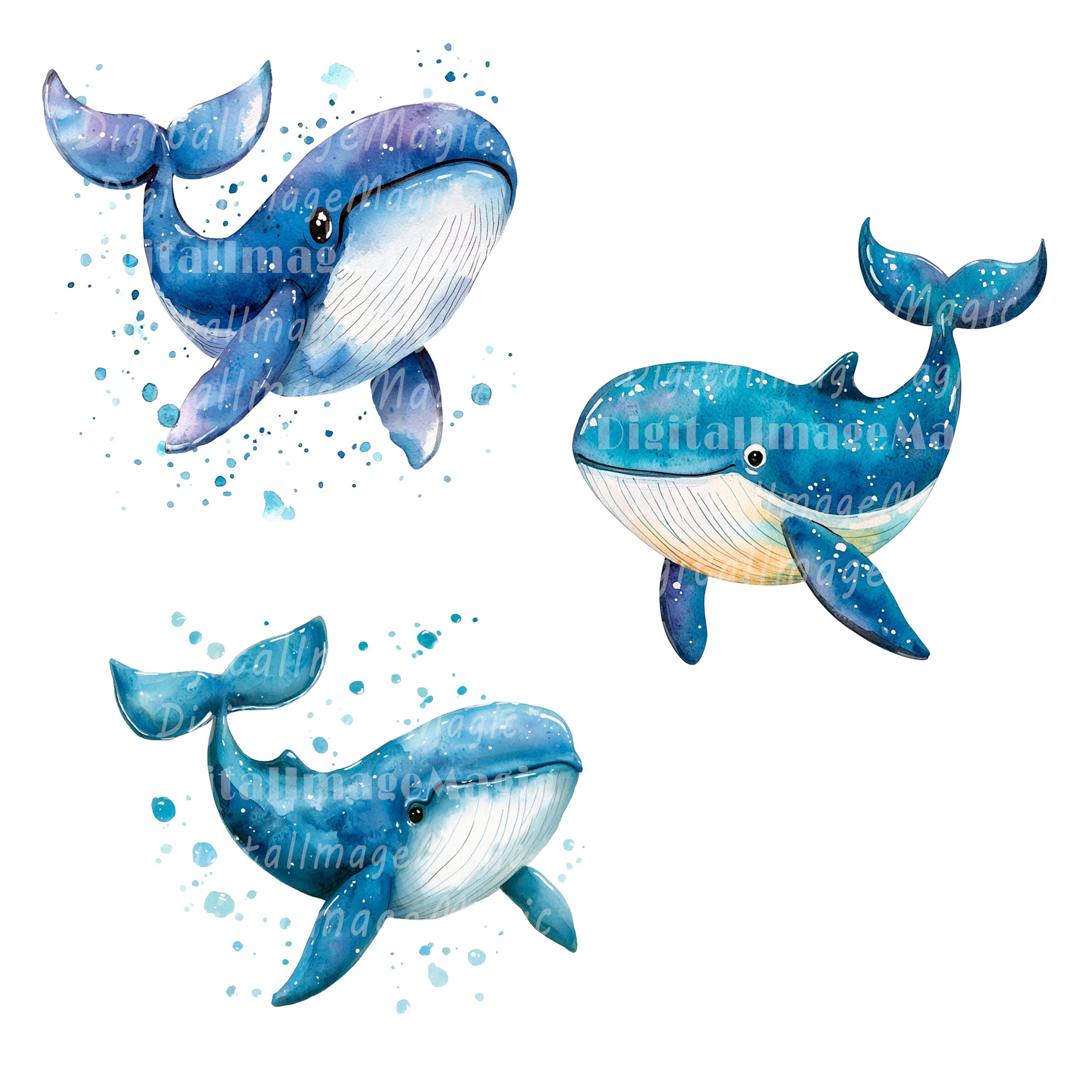 24 Cartoon Wal Clipart, Wal Illustration, druckbare Aquarell Clipart ...