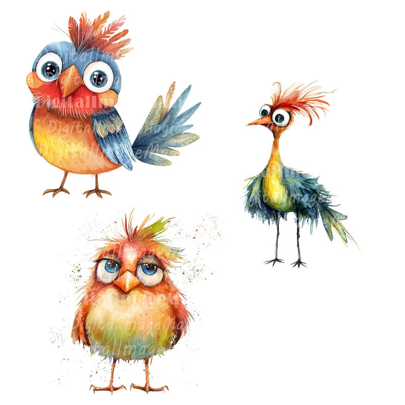 24 Whimsical Watercolor Birds Clipart: Funny PNG Images (digital ...