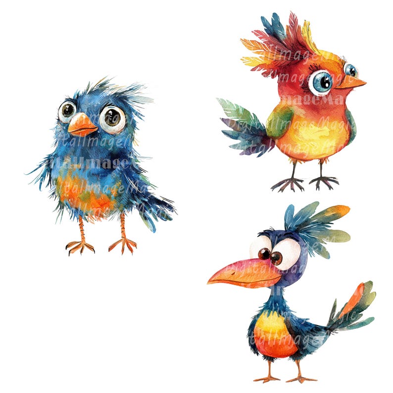 24 Whimsical Watercolor Birds Clipart: Funny PNG Images (digital ...