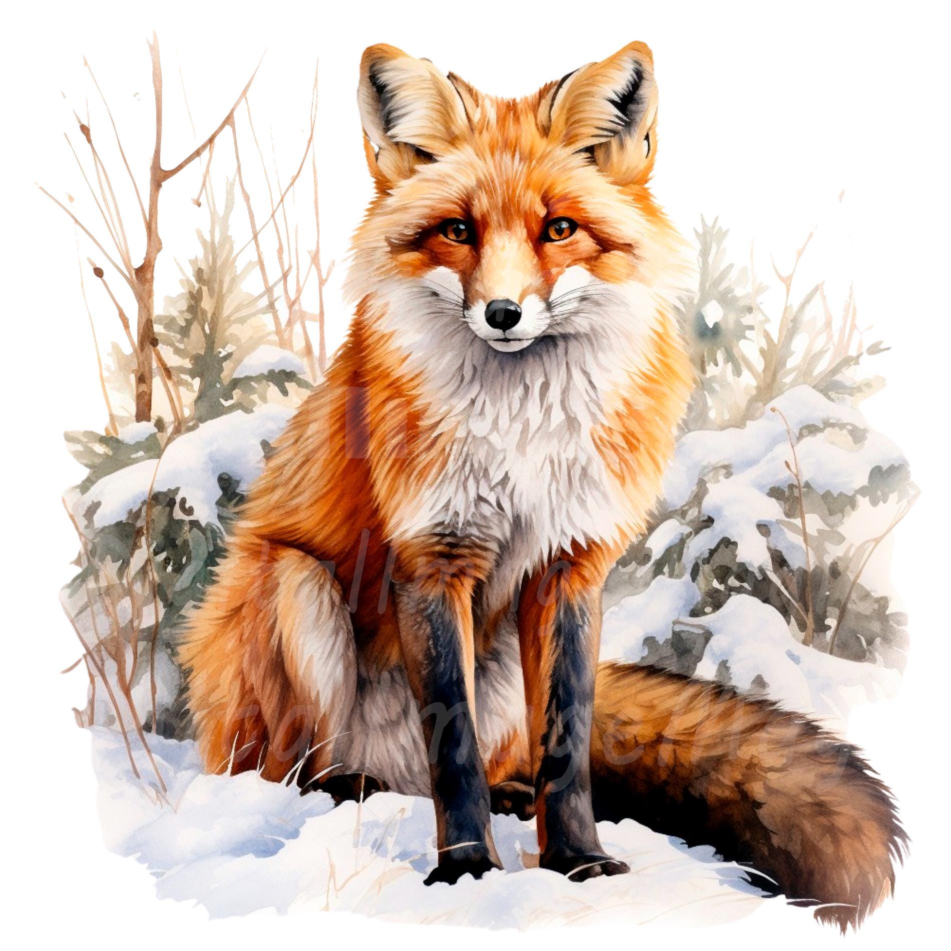 19 Fox in Winter Clipart, Printable Watercolor Clipart, High Quality ...