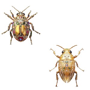 24 Jewelled Bug Clipart, Gemstones, Printable Watercolor Clipart, High ...