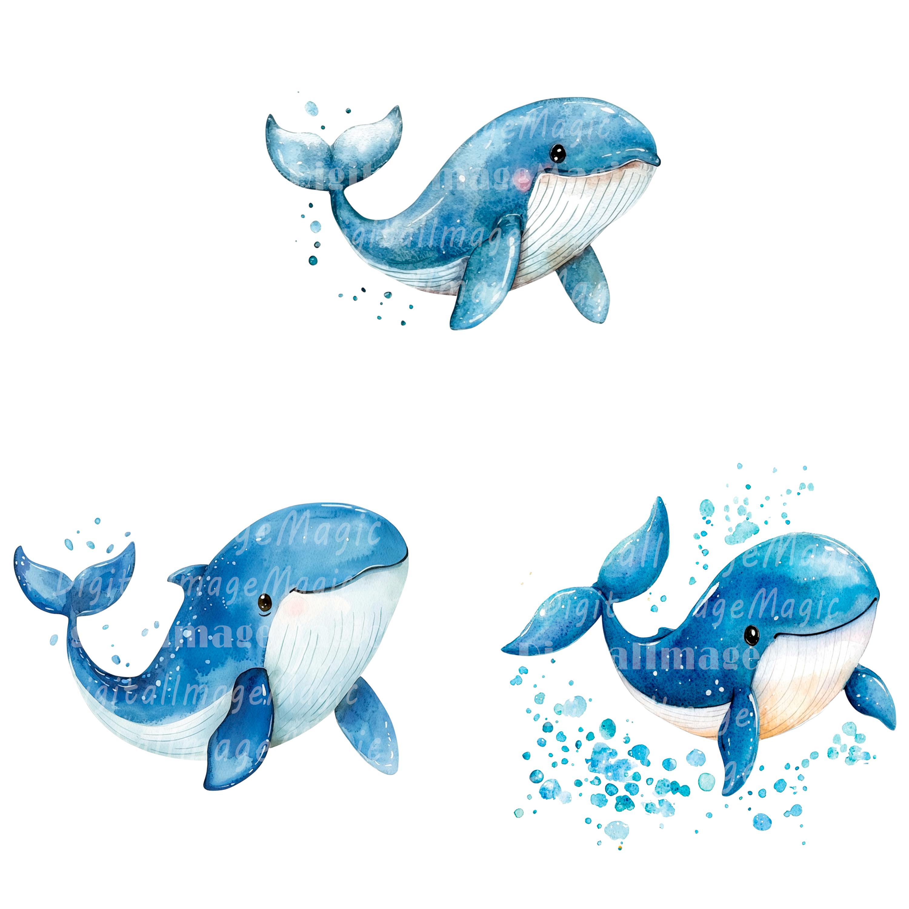 24 Cartoon Wal Clipart, Wal Illustration, druckbare Aquarell Clipart ...