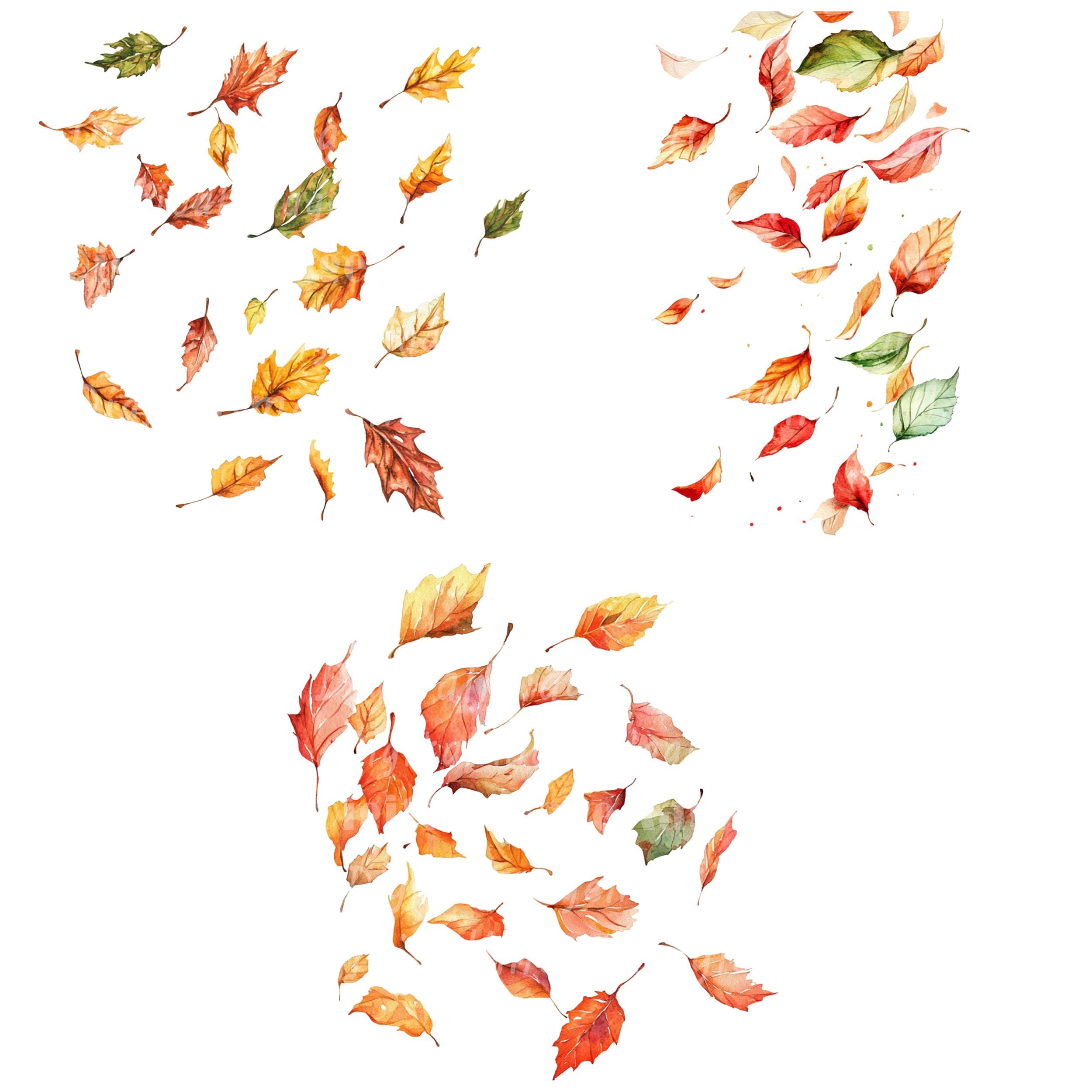 23 Falling Autumn Leaves Clipart, Fall Leaves, Printable Watercolor ...