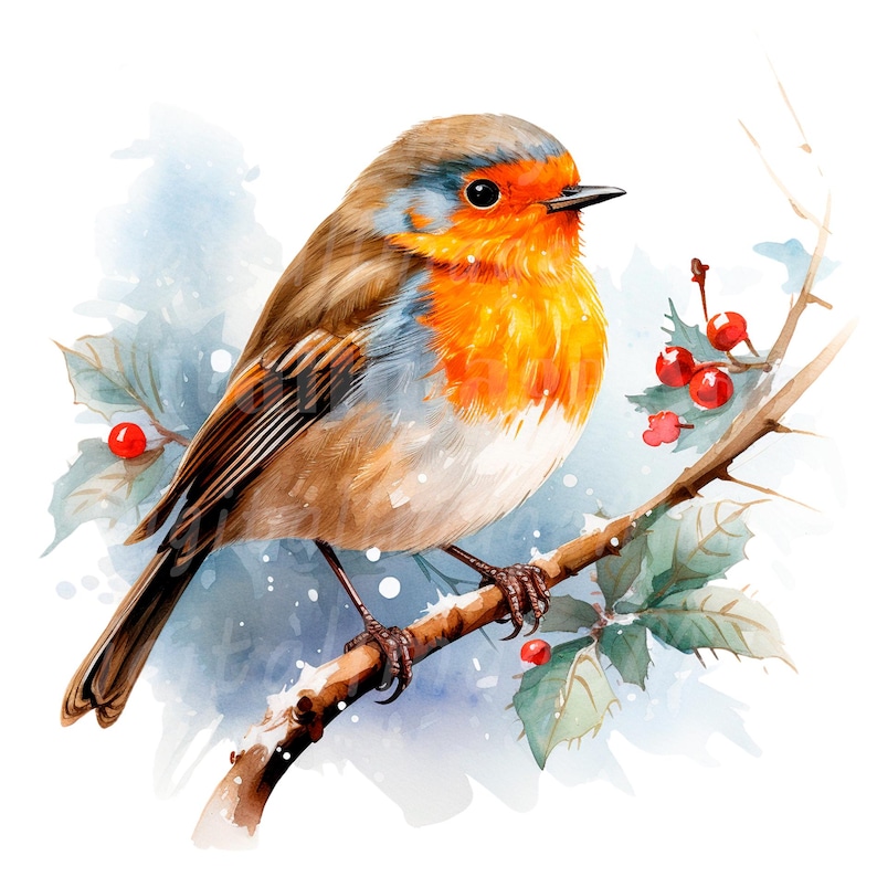 20 Various Christmas Birds Clipart, Robin, Printable Watercolor Clipart ...