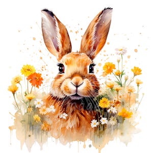 18 Surprised Hare Clipart, Amazed Rabbit, Printable Watercolor Clipart ...