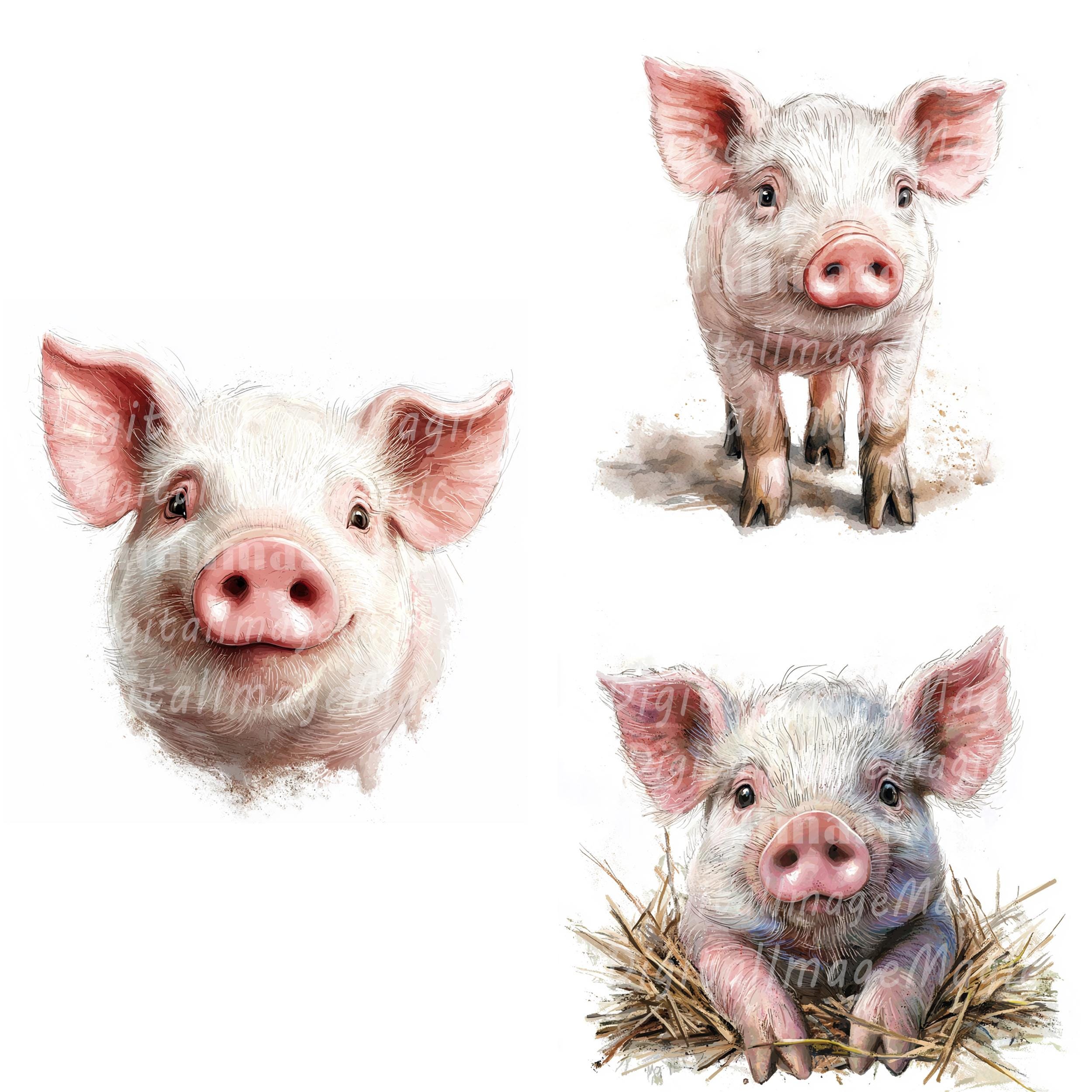 24 Farmyard Pig Clipart, Printable Watercolor Clipart, High Quality ...