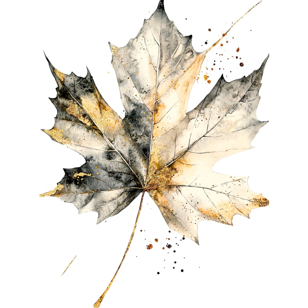 19 Boho Maple Leaf Clipart, Wall Art, Printable Watercolor Clipart ...