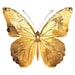 16 Gold Butterfly Clipart, Wall Print, Printable Watercolor Clipart ...