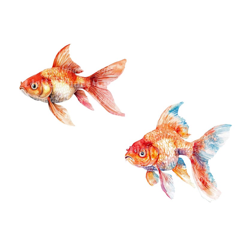 24 Goldfish Clipart, Golden Fish Clipart, Printable Watercolor Clipart ...
