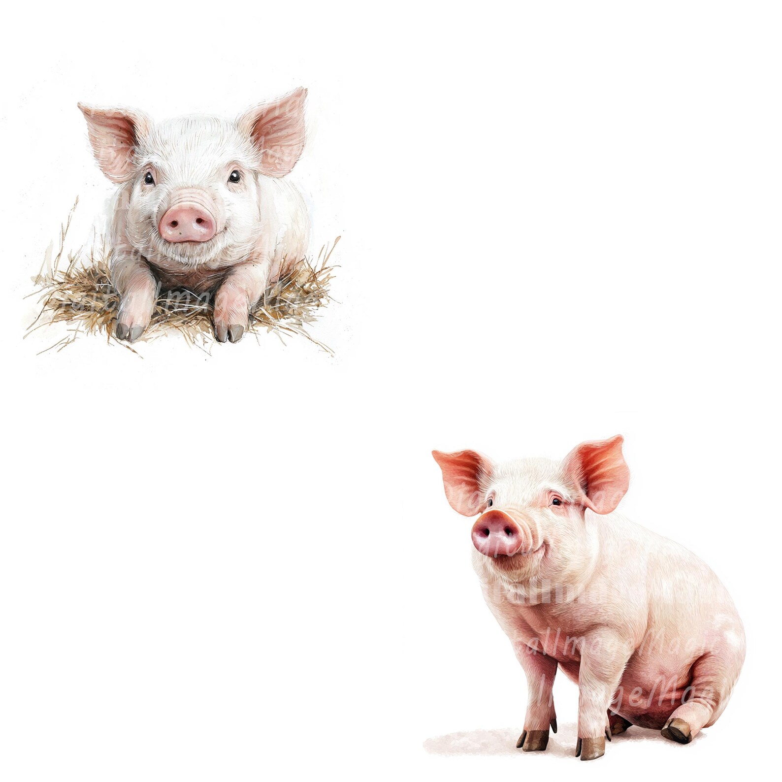 24 Farmyard Pig Clipart, Printable Watercolor Clipart, High Quality ...