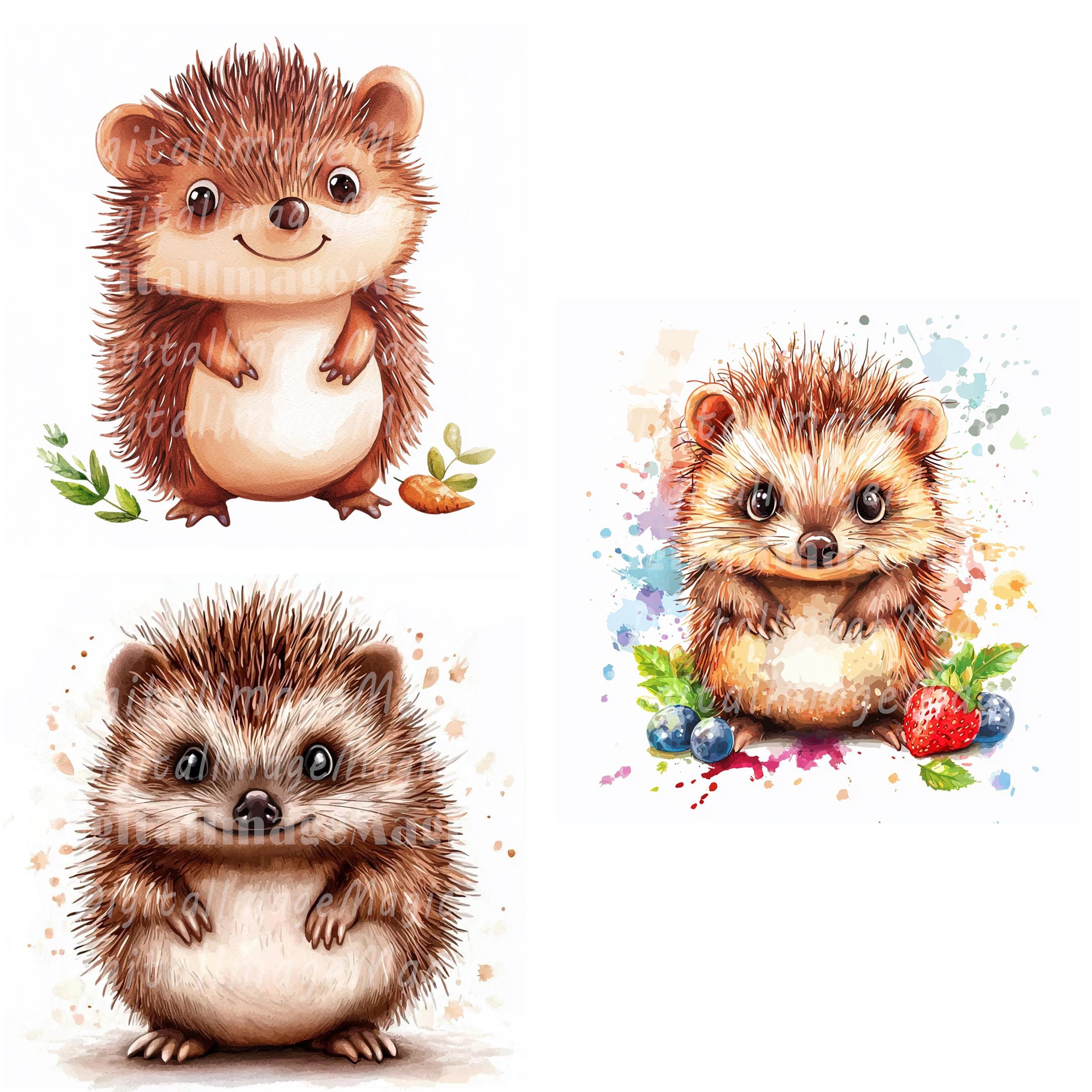 24 Hedgehog Cartoon Clipart, Cartoon Hedgehog, Printable Watercolor ...