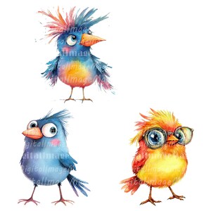24 Whimsical Watercolor Birds Clipart: Funny PNG Images (digital ...