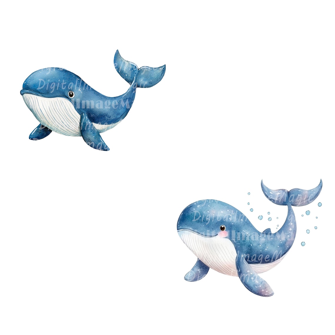 24 Cartoon Wal Clipart, Wal Illustration, druckbare Aquarell Clipart ...