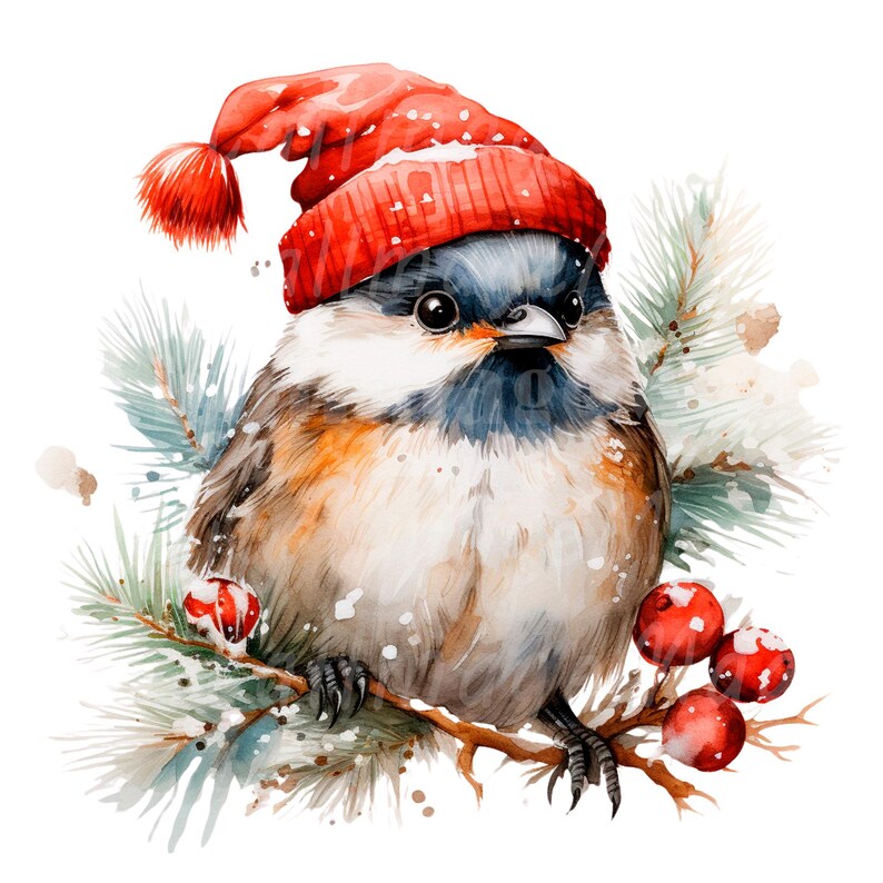 20 Various Christmas Birds Clipart, Robin, Printable Watercolor Clipart ...