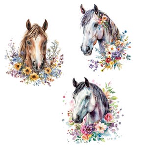 24 Floral Horses Clipart, Printable Watercolor Clipart, High Quality ...