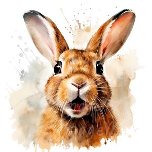18 Surprised Hare Clipart, Amazed Rabbit, Printable Watercolor Clipart ...